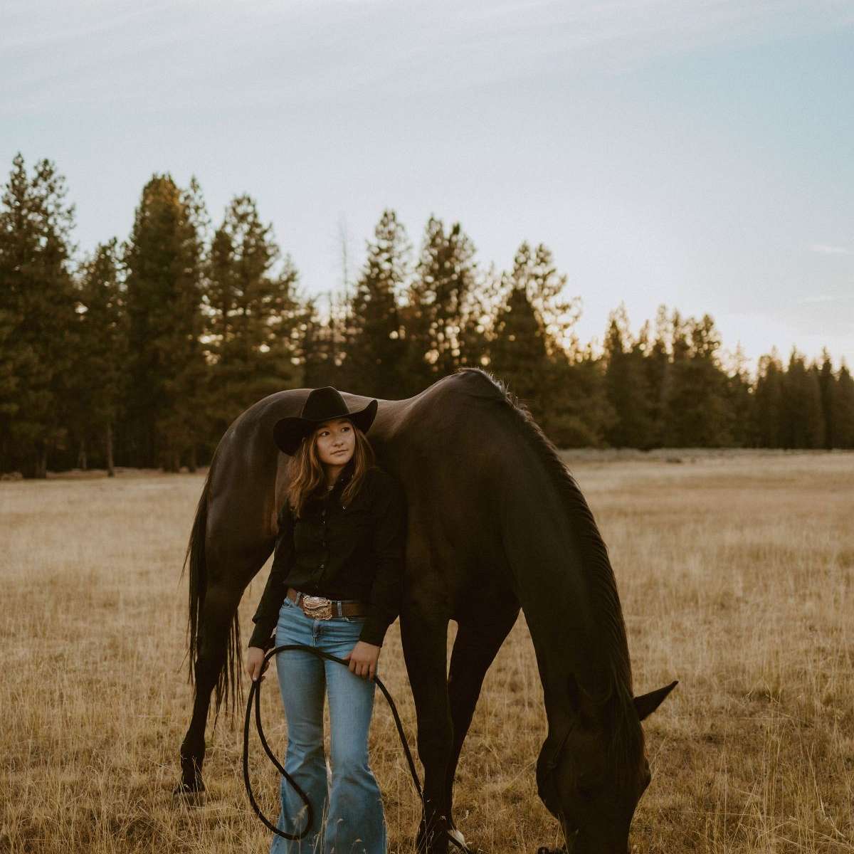 Nakanishi Equine Lessons, Training and Sales