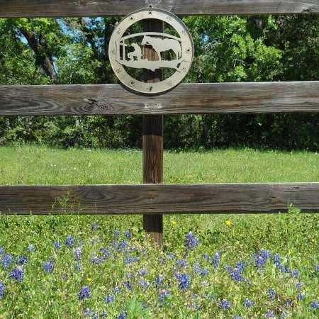 15" Rough cut saddle