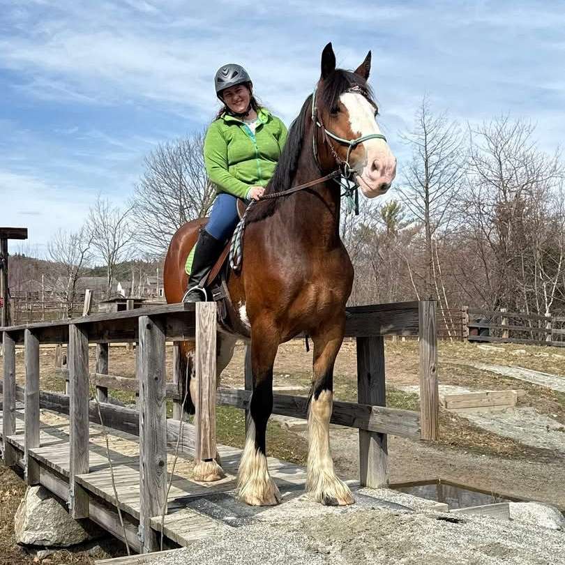 Boarding / Trails / Lessons/ Fundamental Horsemanship
