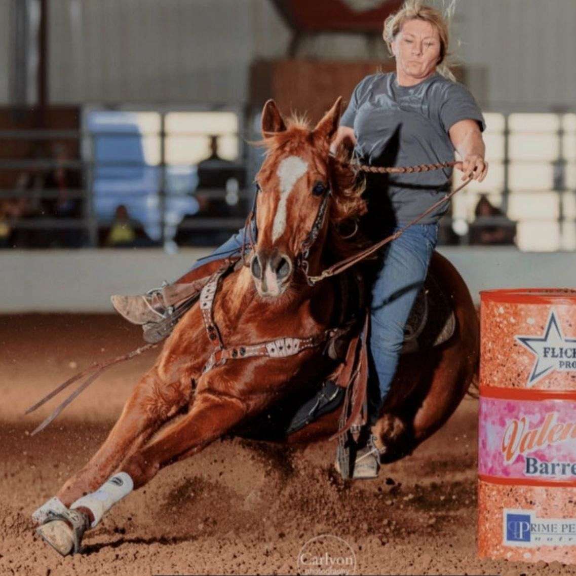 Quarter Horse Gelding