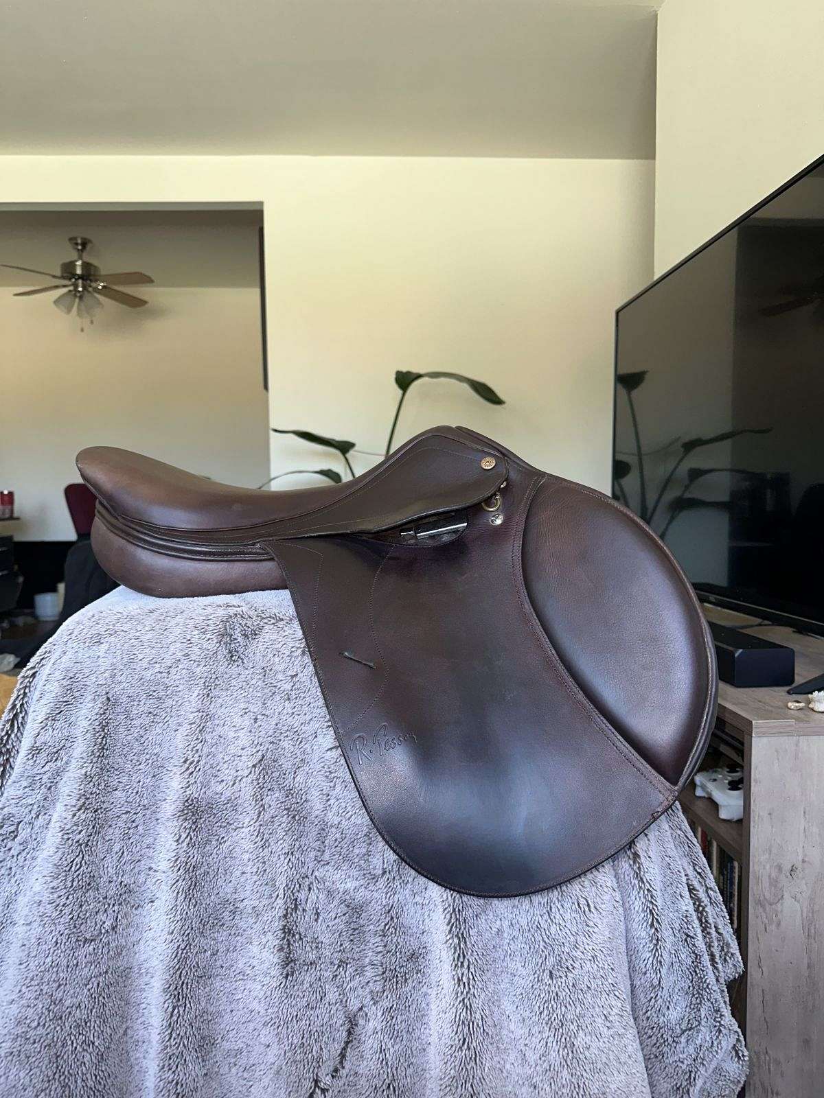 Nelson Pessoa Prestige