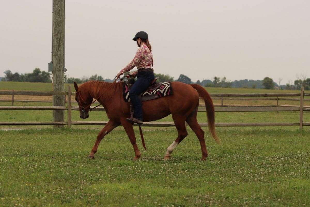 Liberty stables on EquineNow