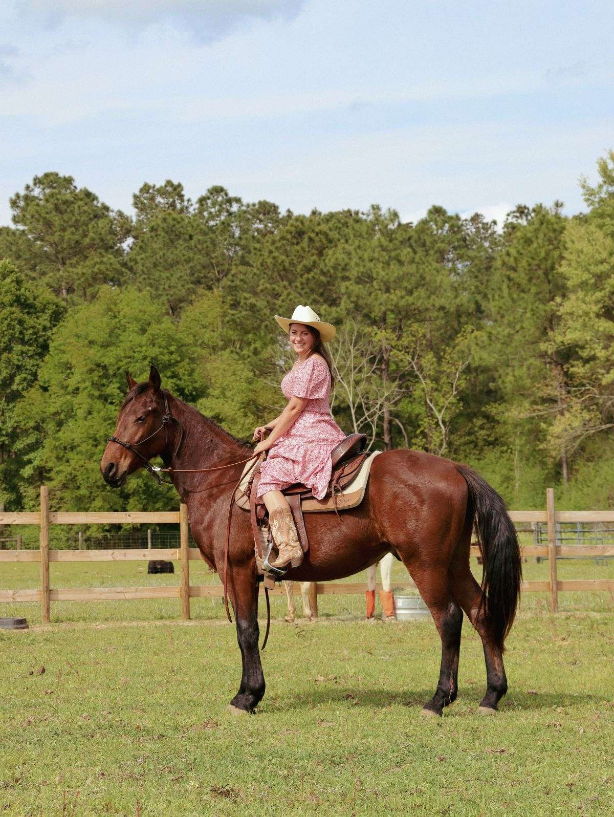 Alpha Ranch on EquineNow