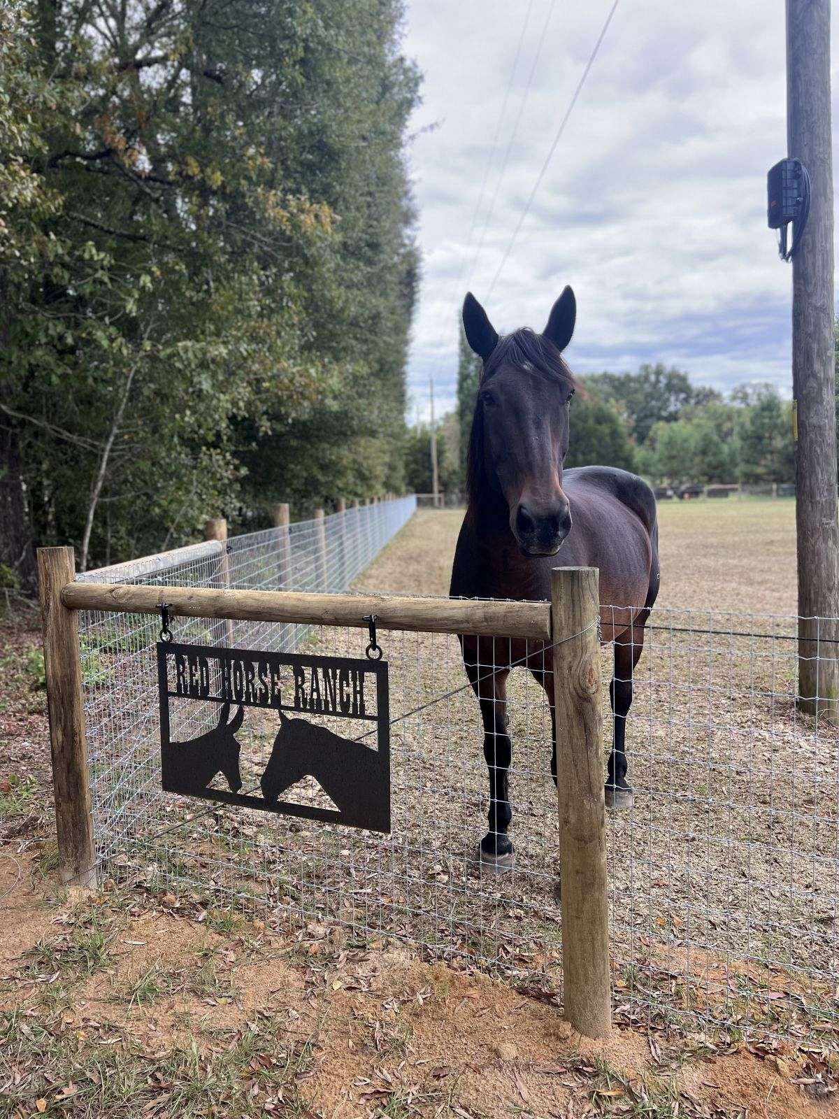 Red Horse Ranch LLC on EquineNow