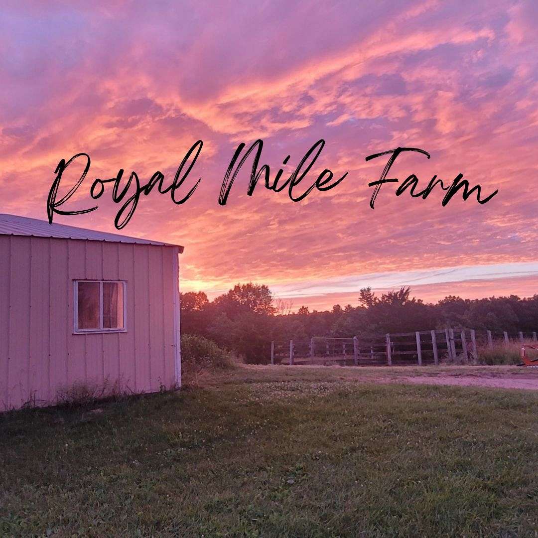 Royal Mile Farm on EquineNow