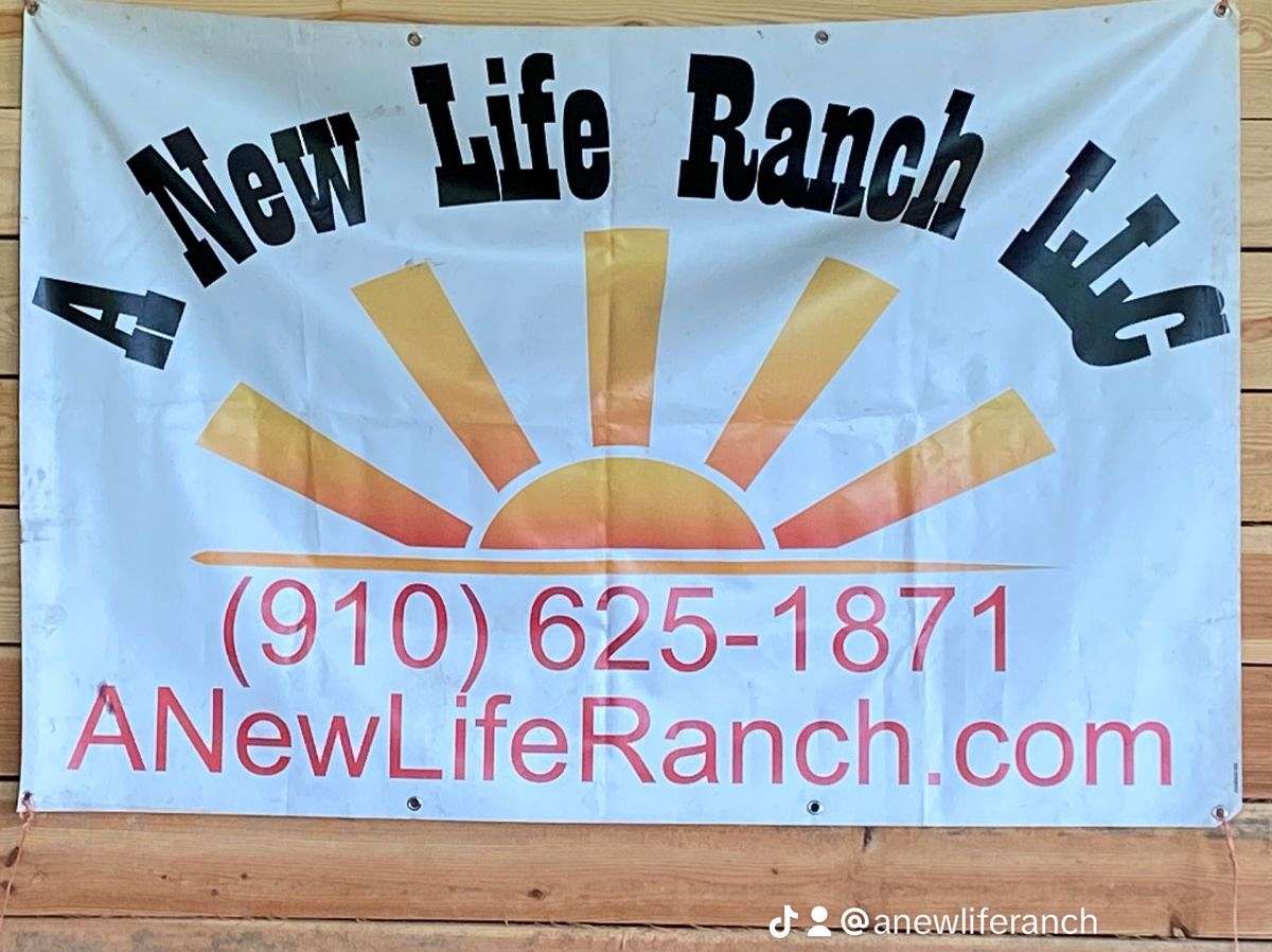 A New Life Ranch LLC on EquineNow