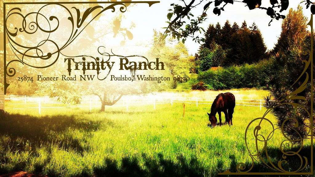 Trinity Ranch on EquineNow