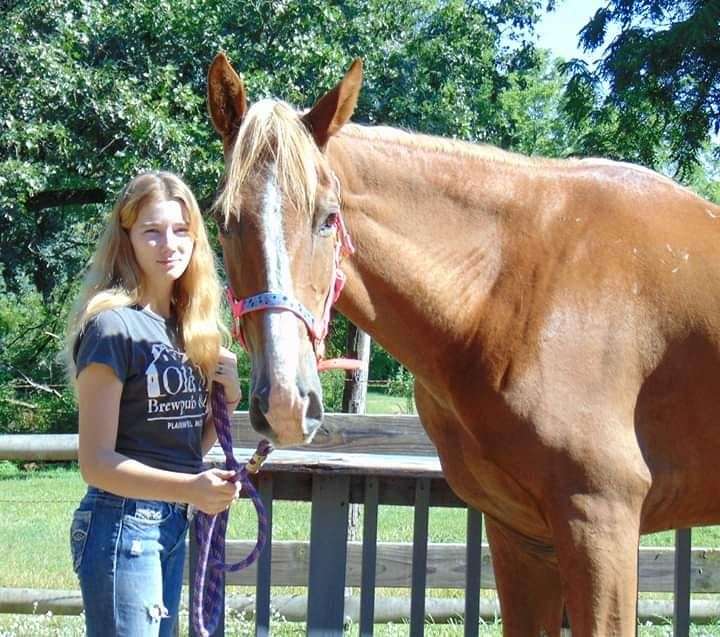 The Ranch on EquineNow