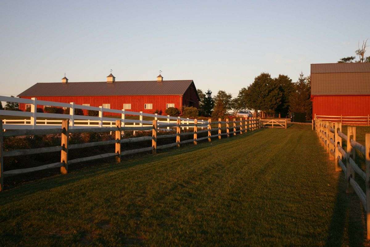 Ledyard Farm on EquineNow