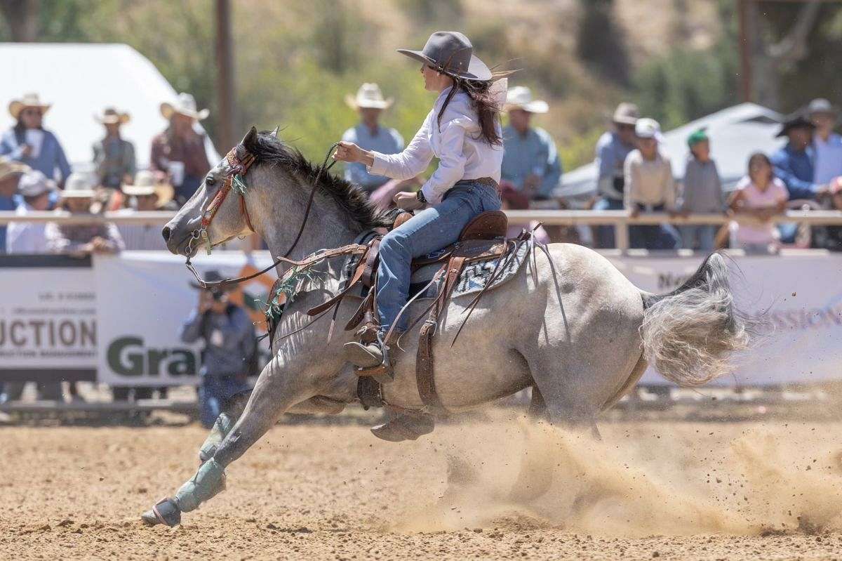River Ranch Stables on EquineNow