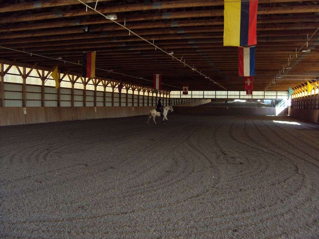North Church Farms on EquineNow