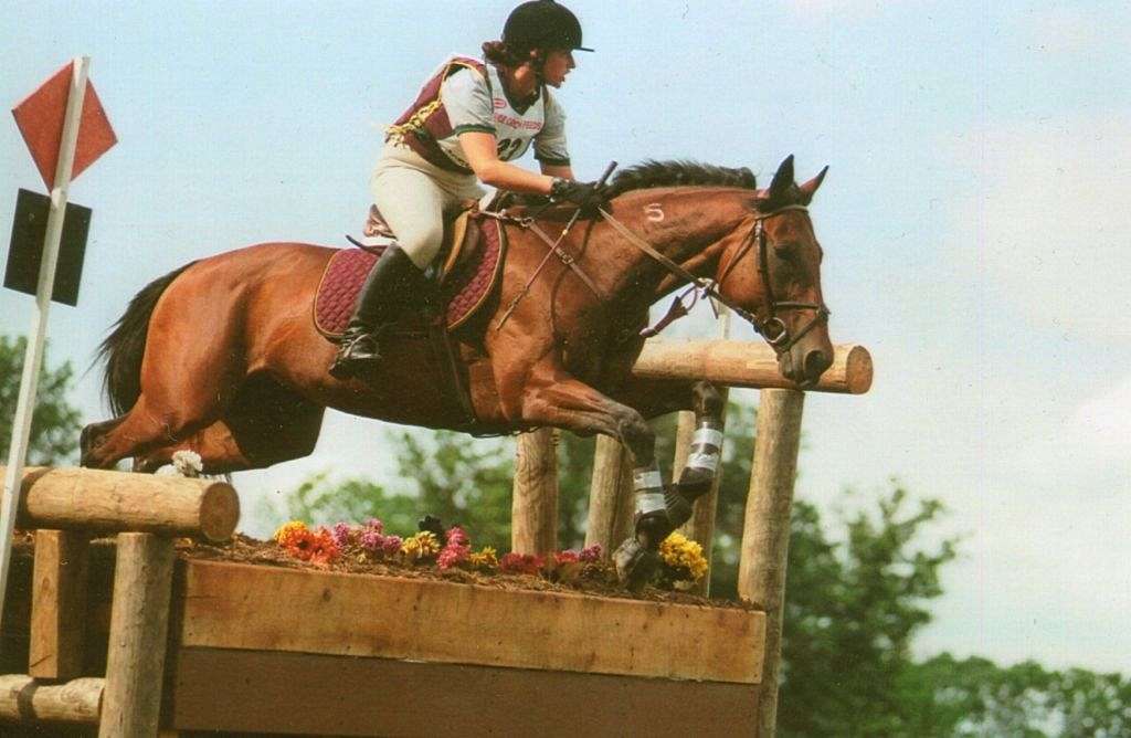 Ruth Swanson Equine on EquineNow