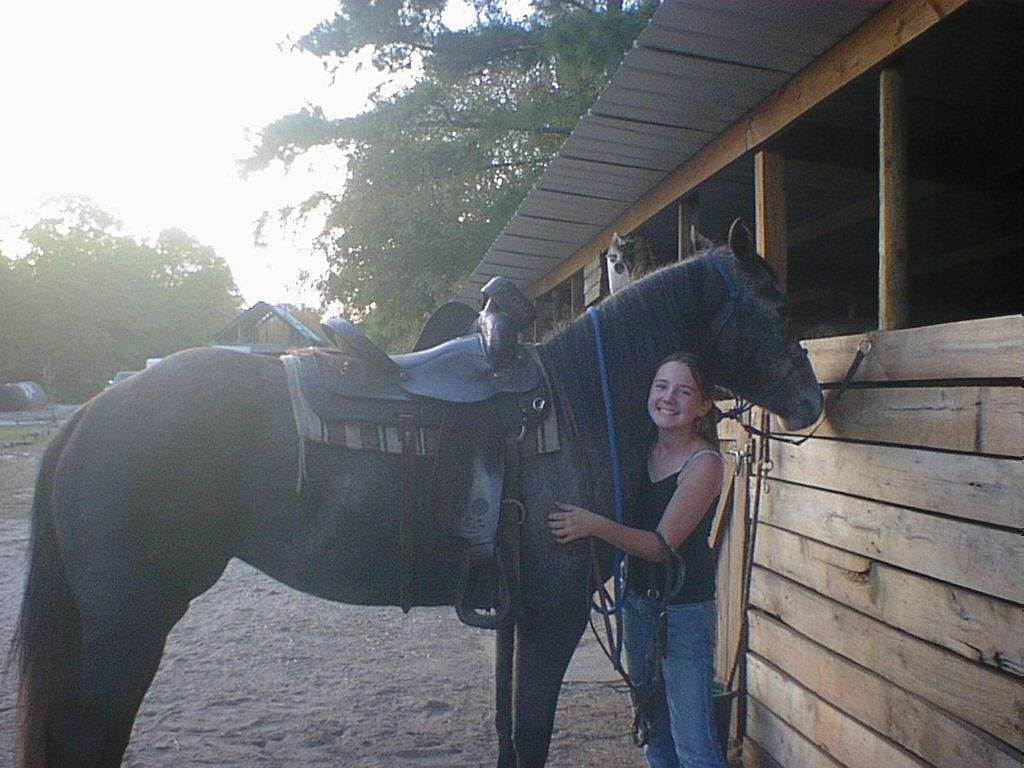 Buffalo Creek Stables, LLC on EquineNow