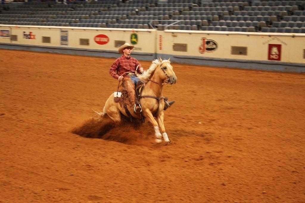 S bar B Ranch S bar B Partnership on EquineNow