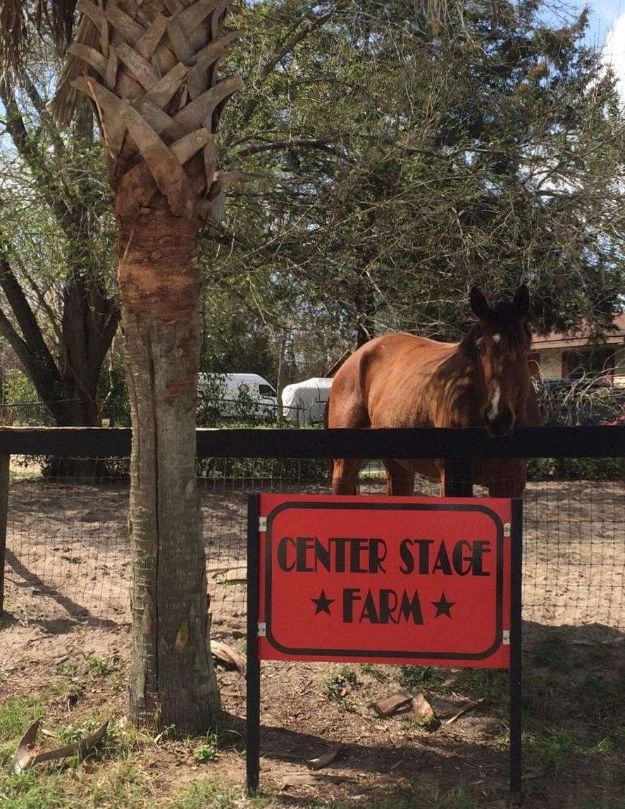 Center Stage Farm on EquineNow