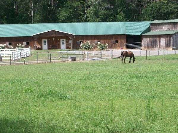 Dry Creek Stables on EquineNow