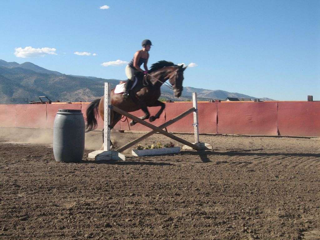 Rugged R Ranch on EquineNow