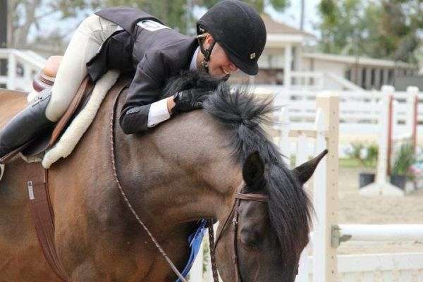 Cj Ranches on EquineNow