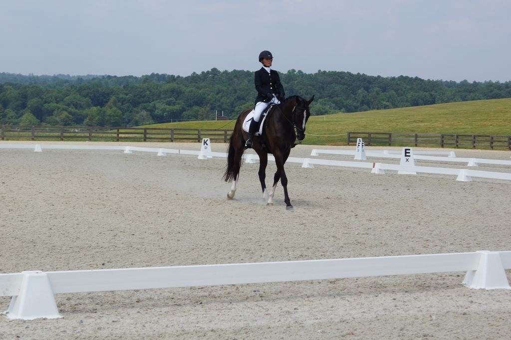 CornerStone Equestrian on EquineNow