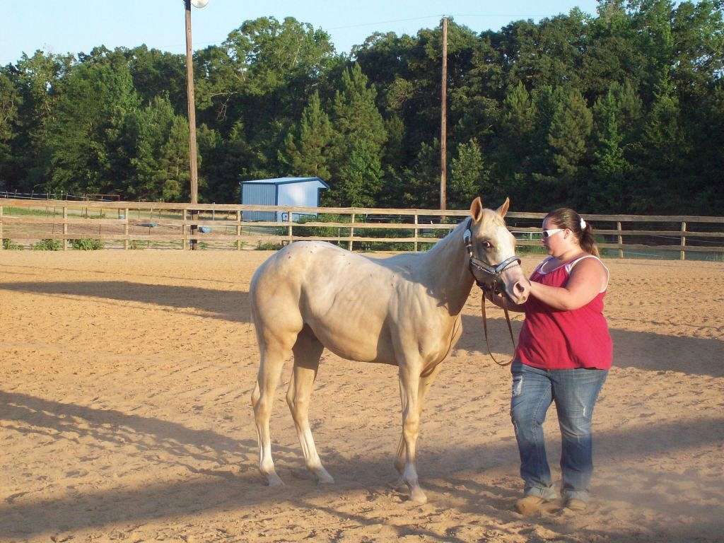 Angel Wings Ranch and Rehab on EquineNow
