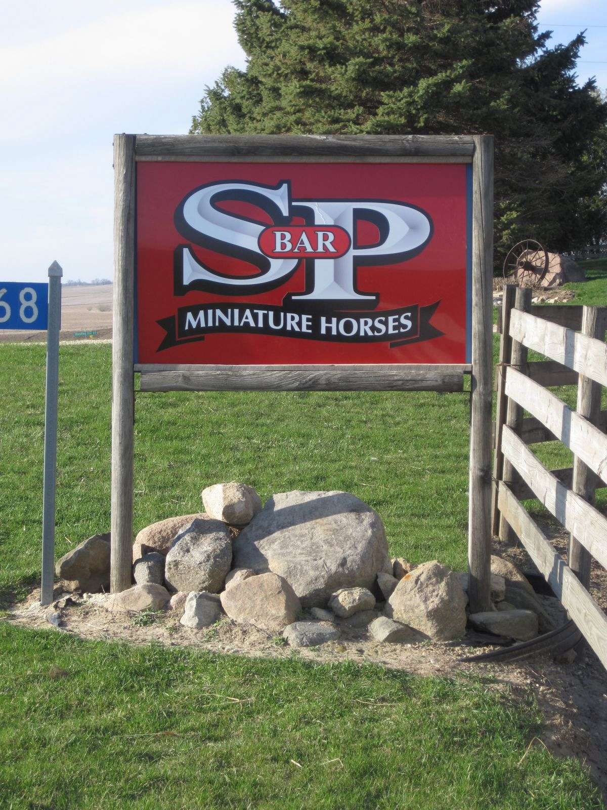 S Bar P MIniature Horses on EquineNow