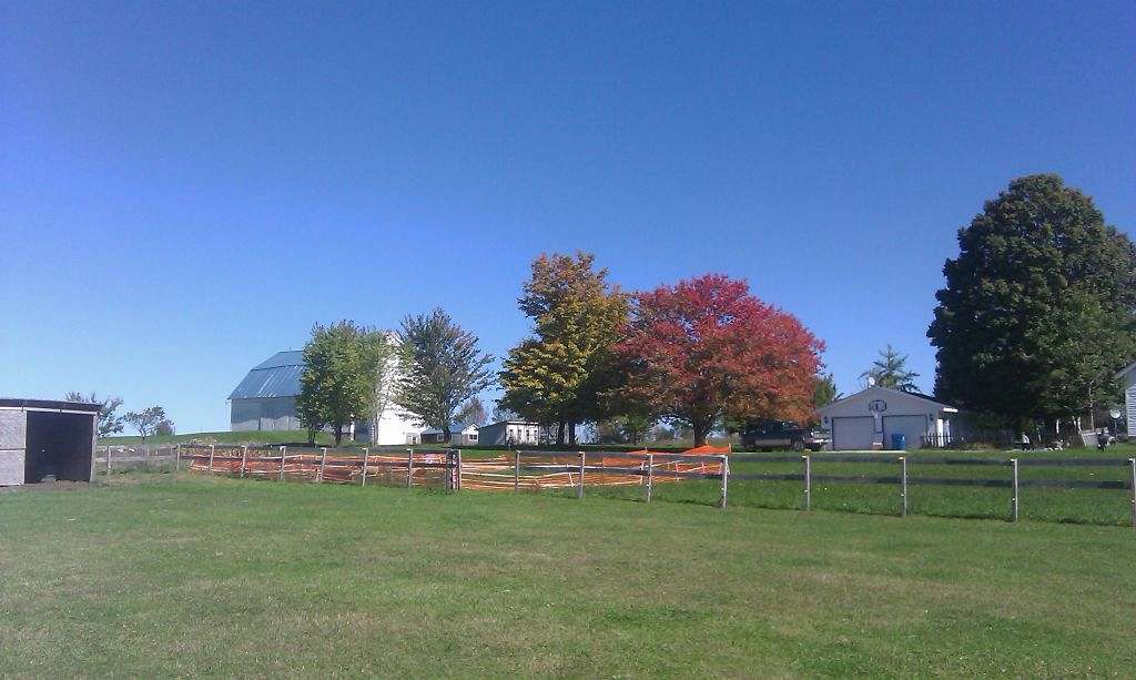 Windswept Farm of Ludington on EquineNow