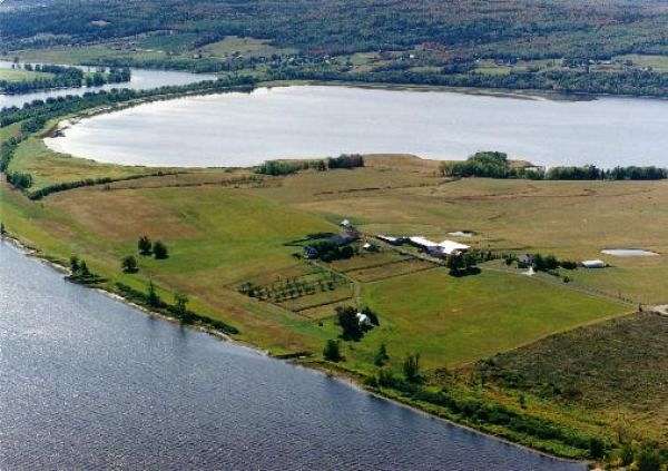 Big K Ranch Ltd on EquineNow