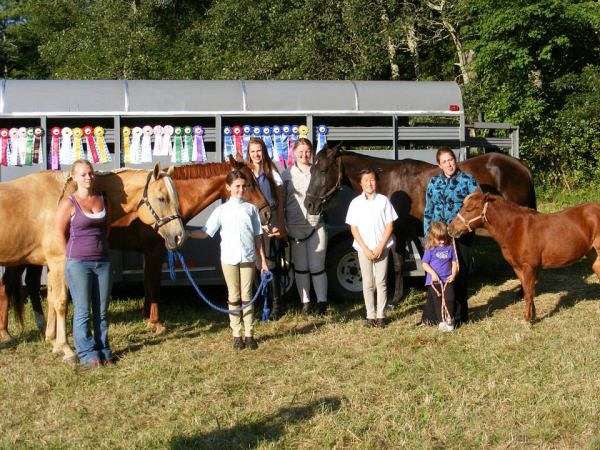 Little Brook Stable on EquineNow