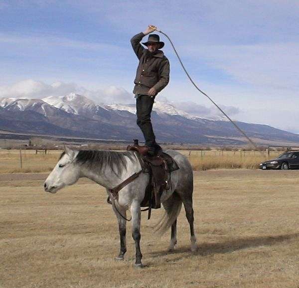 ENOS YODER on EquineNow