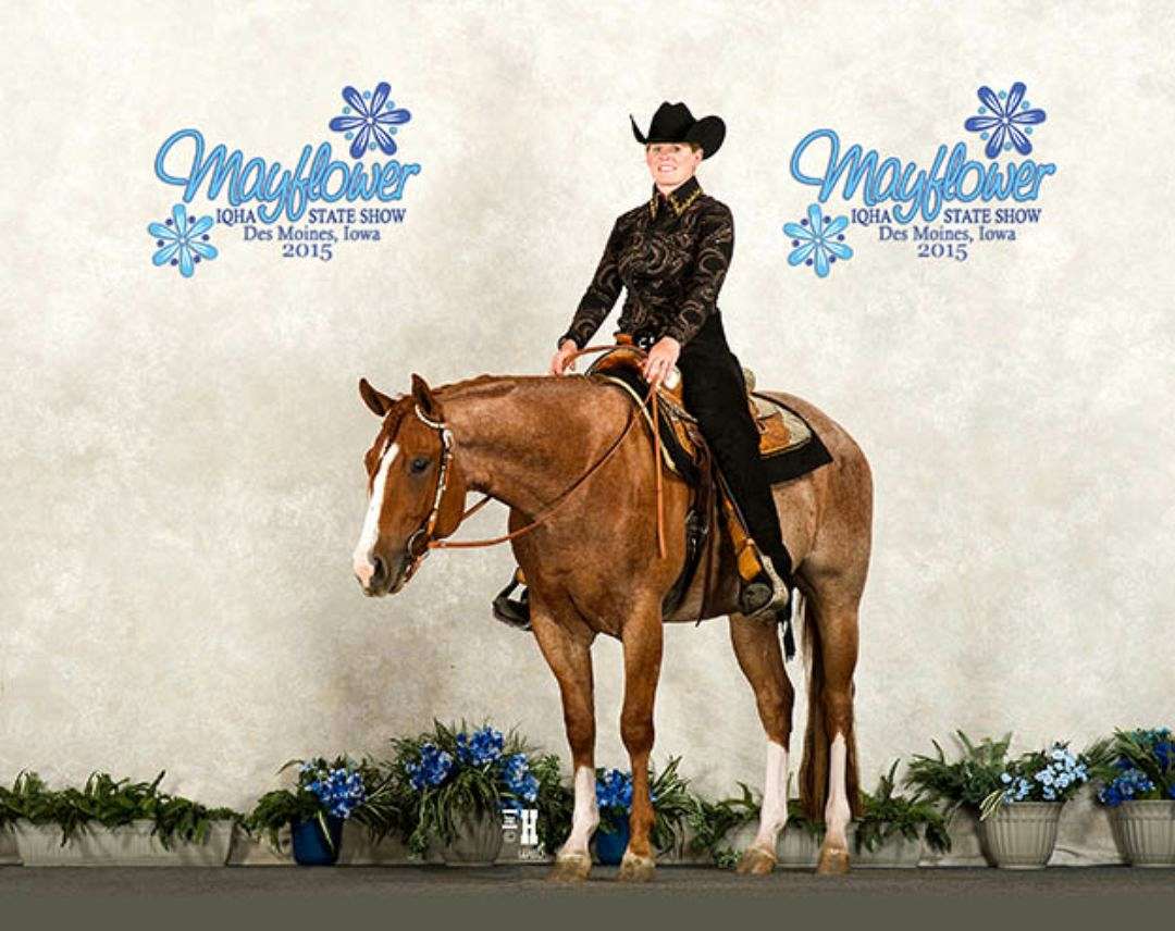 GO Horse Training at Pine Hollow Stables on EquineNow