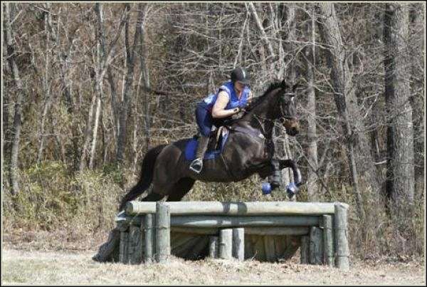 Maple Run Stables on EquineNow