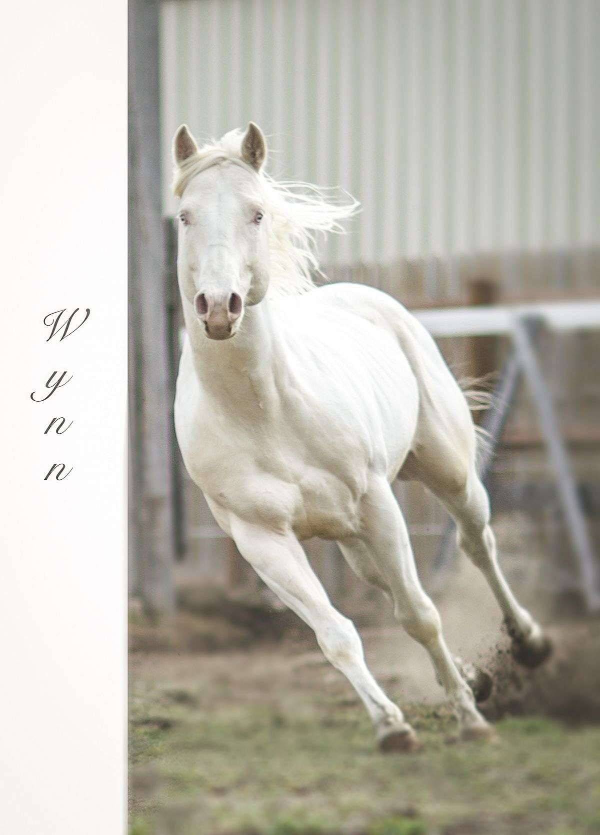 Jensen Farms on EquineNow