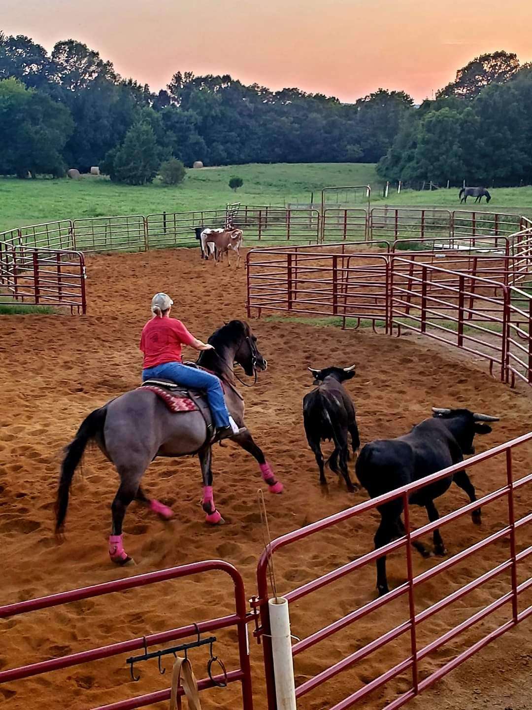 Broken Wing Ranch on EquineNow