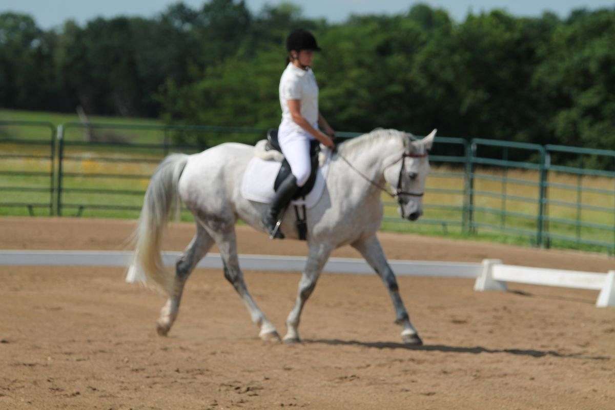Gallop Equestrian Center on EquineNow