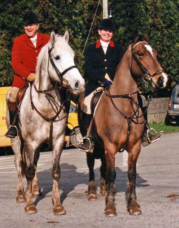 castle french farm on EquineNow