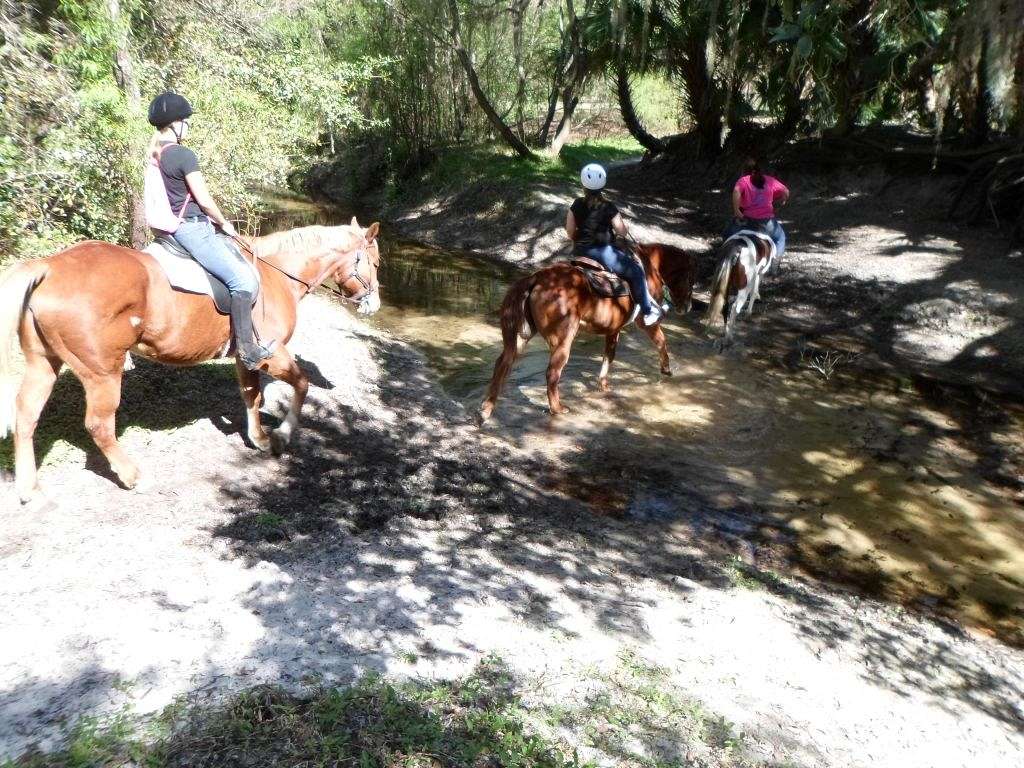 Windsong Farm Summer horse camp lessons Trail ride on EquineNow