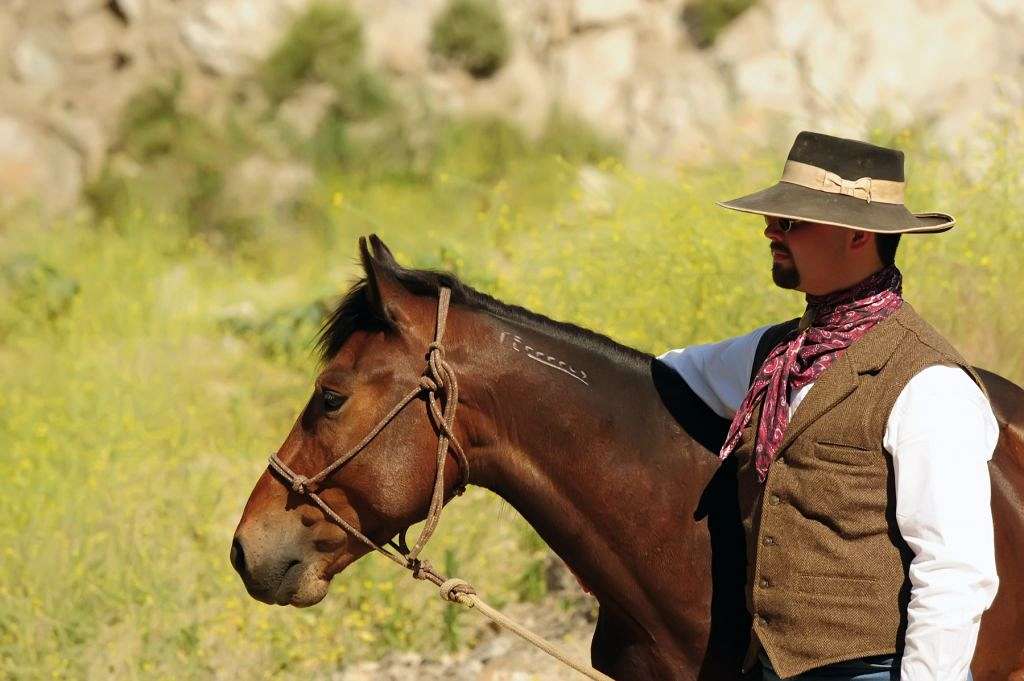 Brent Rollins Horsemanship on EquineNow