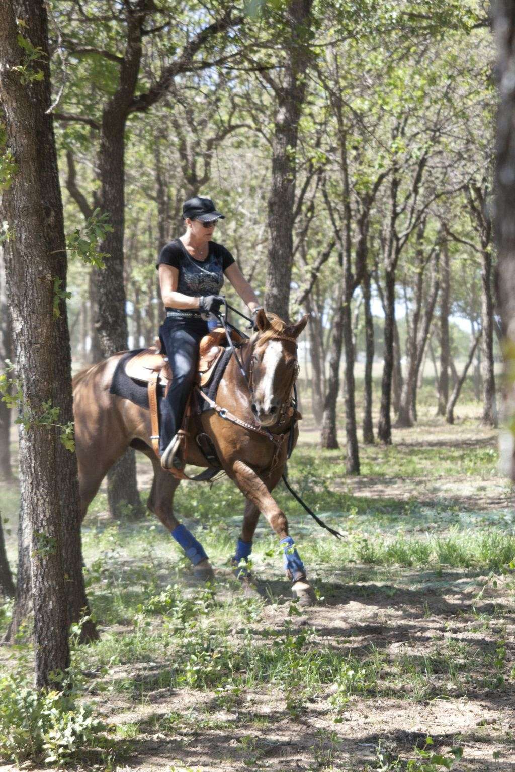 Hayes Ranch on EquineNow