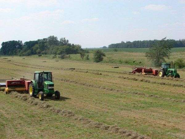 South Florida Hay Sales on EquineNow