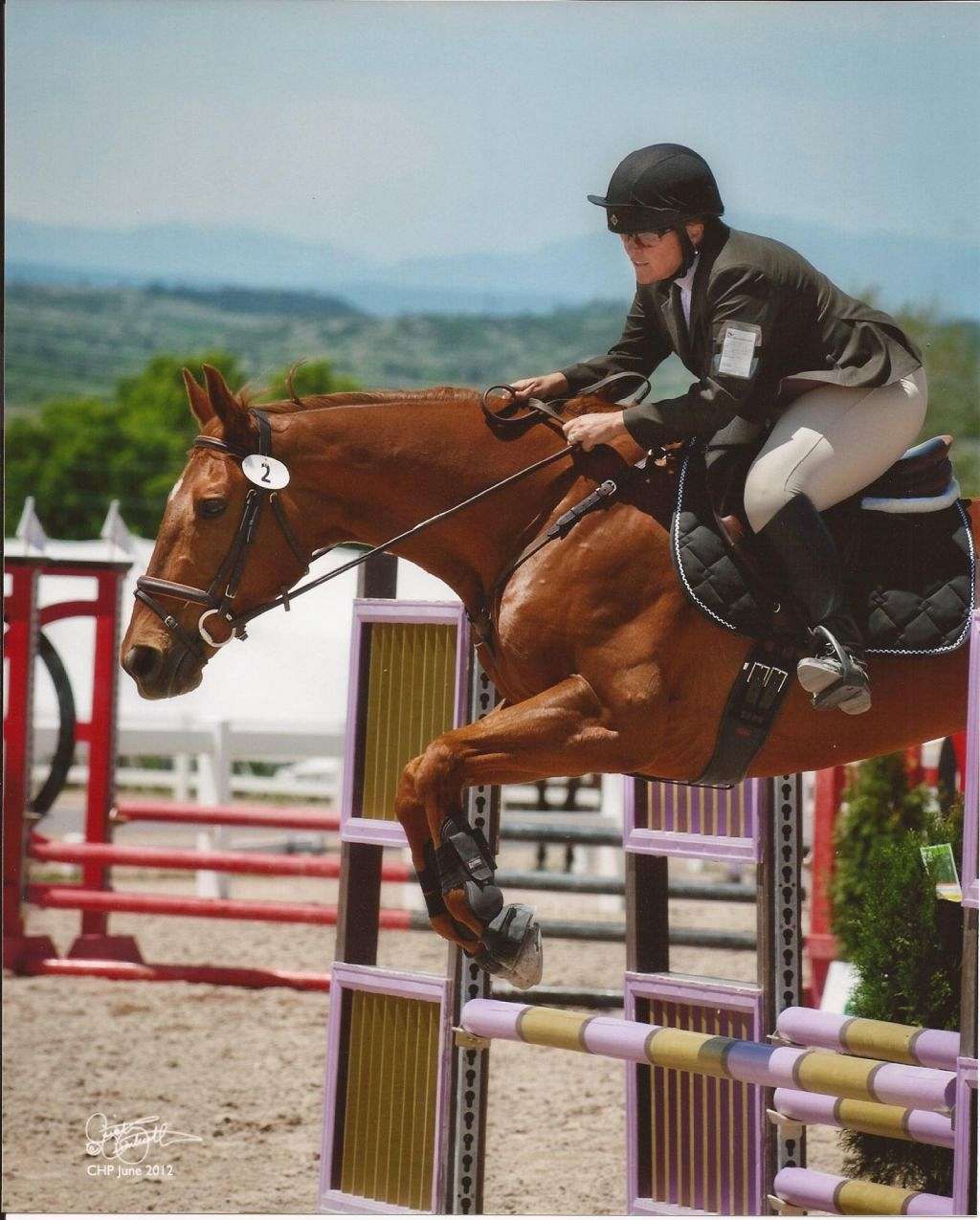 Milestone Equestrian at Double D Ranch on EquineNow