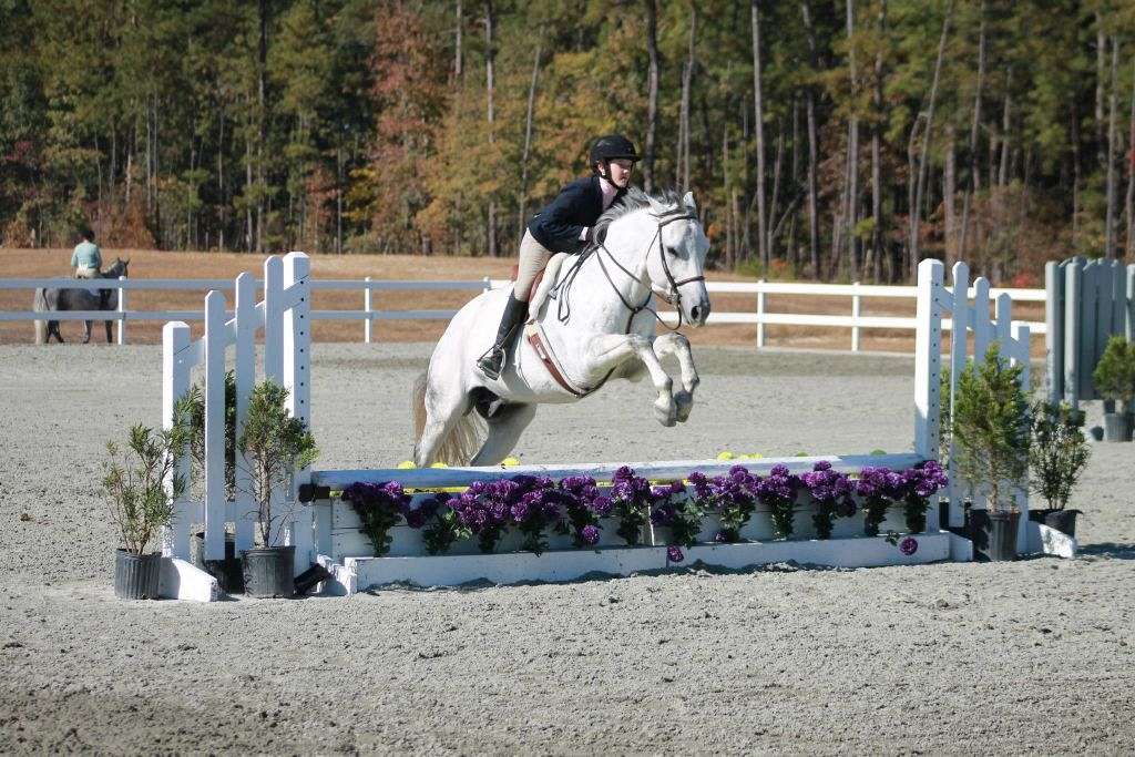 Tally Ho Equestrian Center LLC on EquineNow