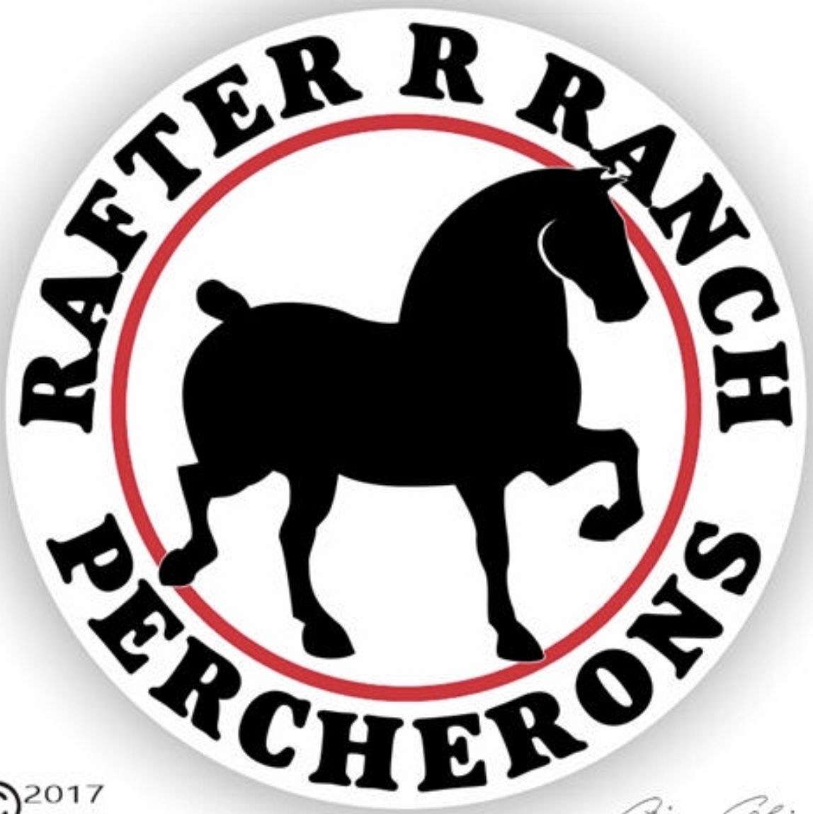 Rafter R Ranch Percherons on EquineNow