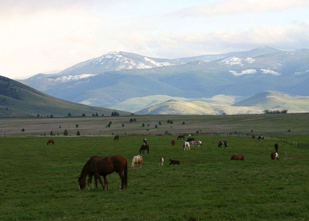 7 Mile Ranch on EquineNow