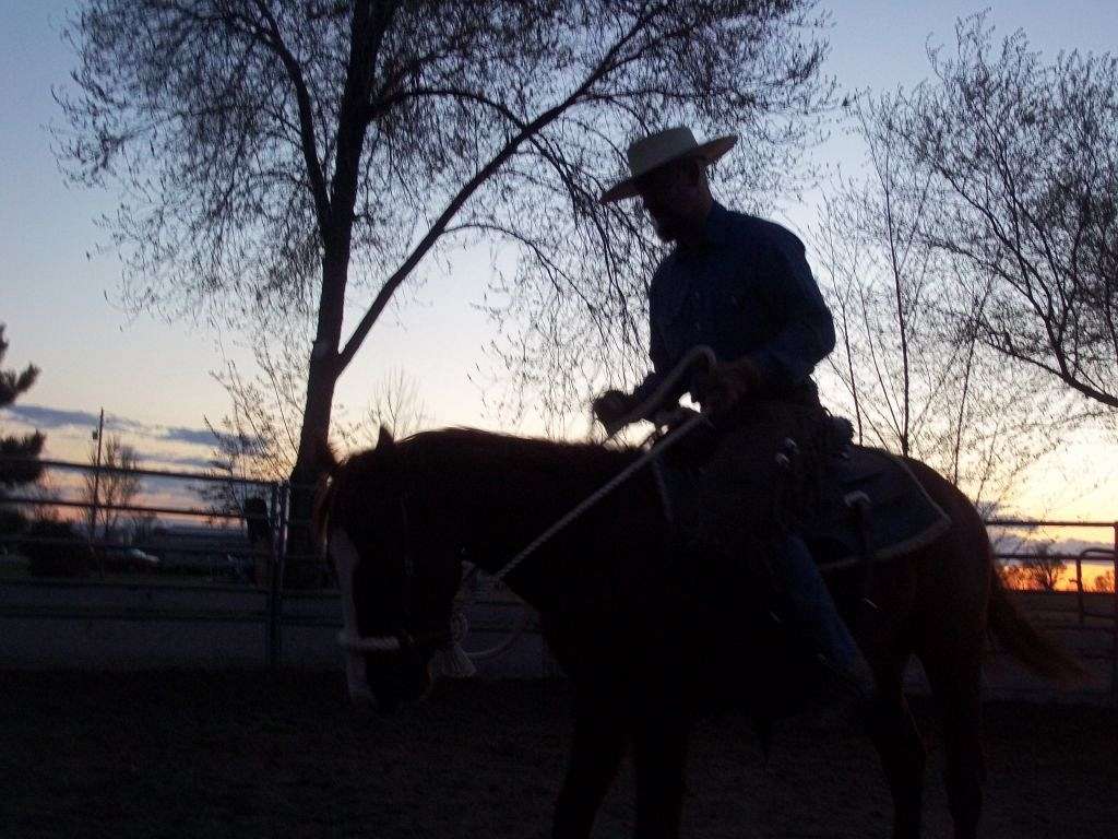 RP Ranch on EquineNow