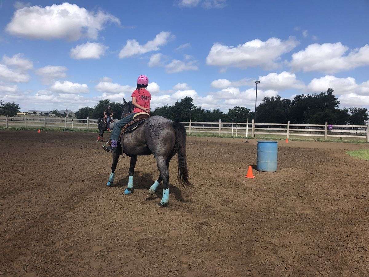 MM Ranch on EquineNow