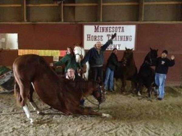 Silver Spur Stable on EquineNow