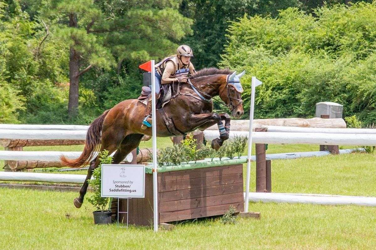 Blue Line Farm on EquineNow