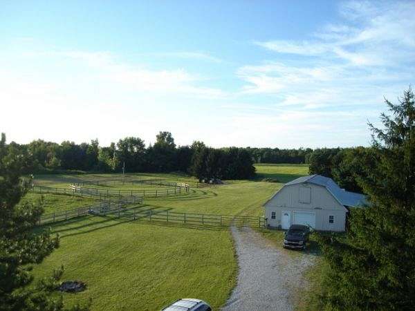 Dyer Family Farms on EquineNow