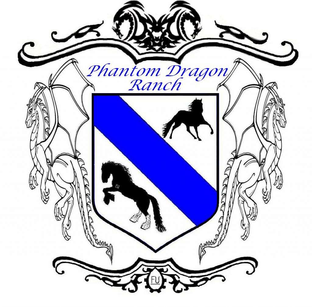 Phantom Dragon Ranch LLC on EquineNow