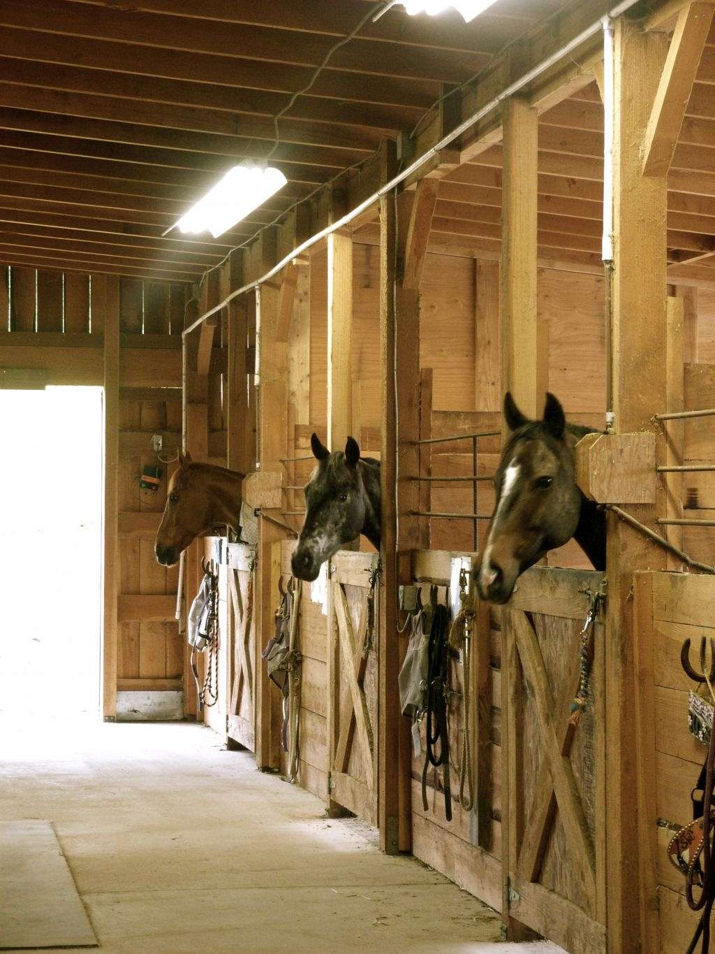 Anderson Snowy Mountain Stables on EquineNow